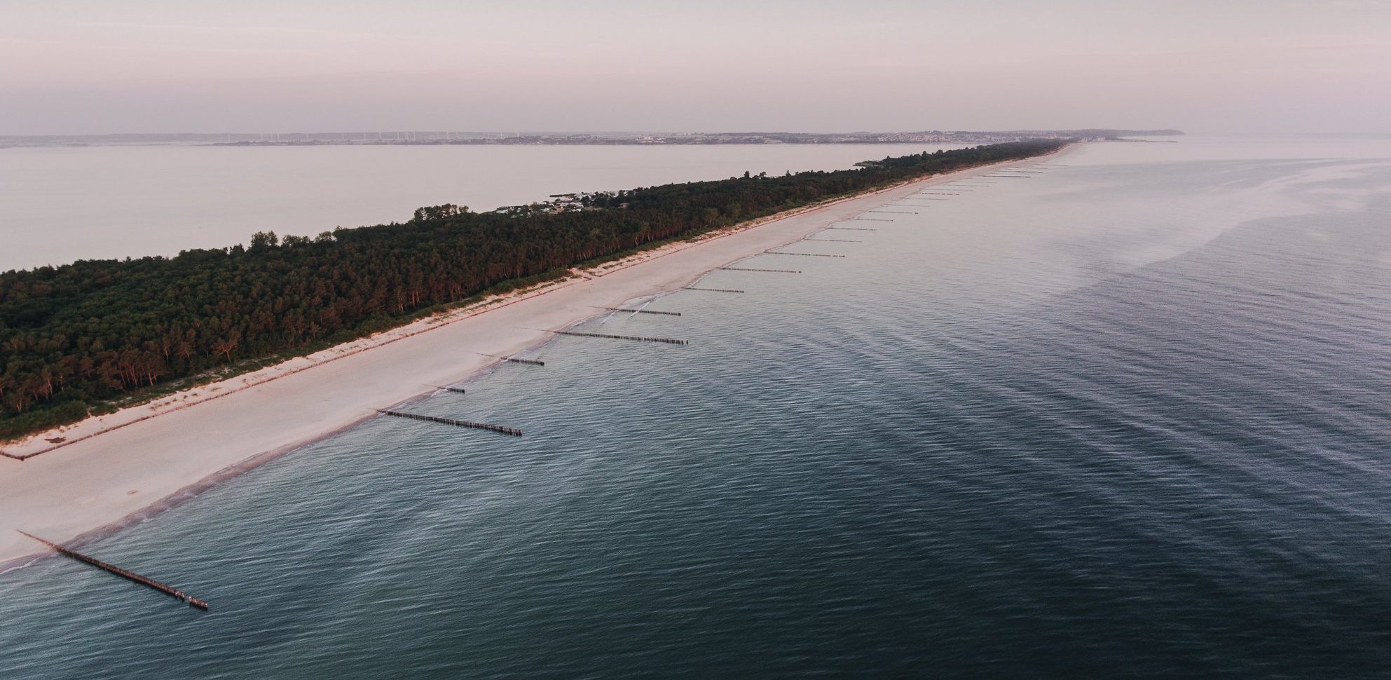 Salt Wave Festival 2019 - line-up, timetable, bilety - Rytmy.pl