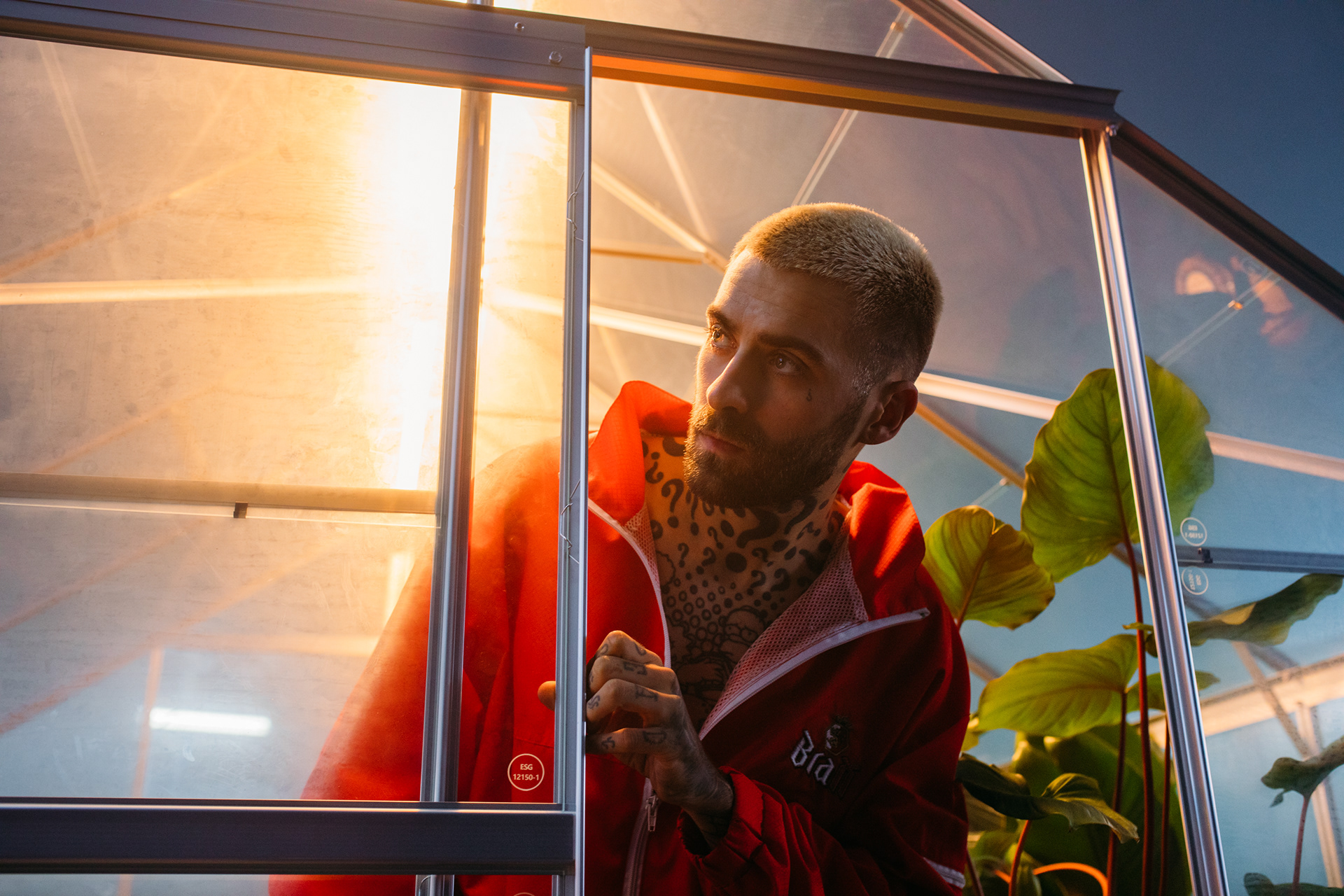 Co knuje Quebonafide? Ruszyła tajemnicza akcja - Rytmy.pl