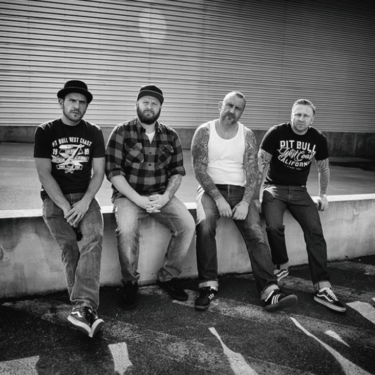 The Analogs - Rytmy.pl